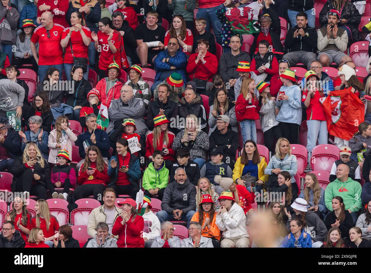 LLANELLI, WALES - 31 MAY 2024: Wales fans celebrate a Wales' Kayleigh ...