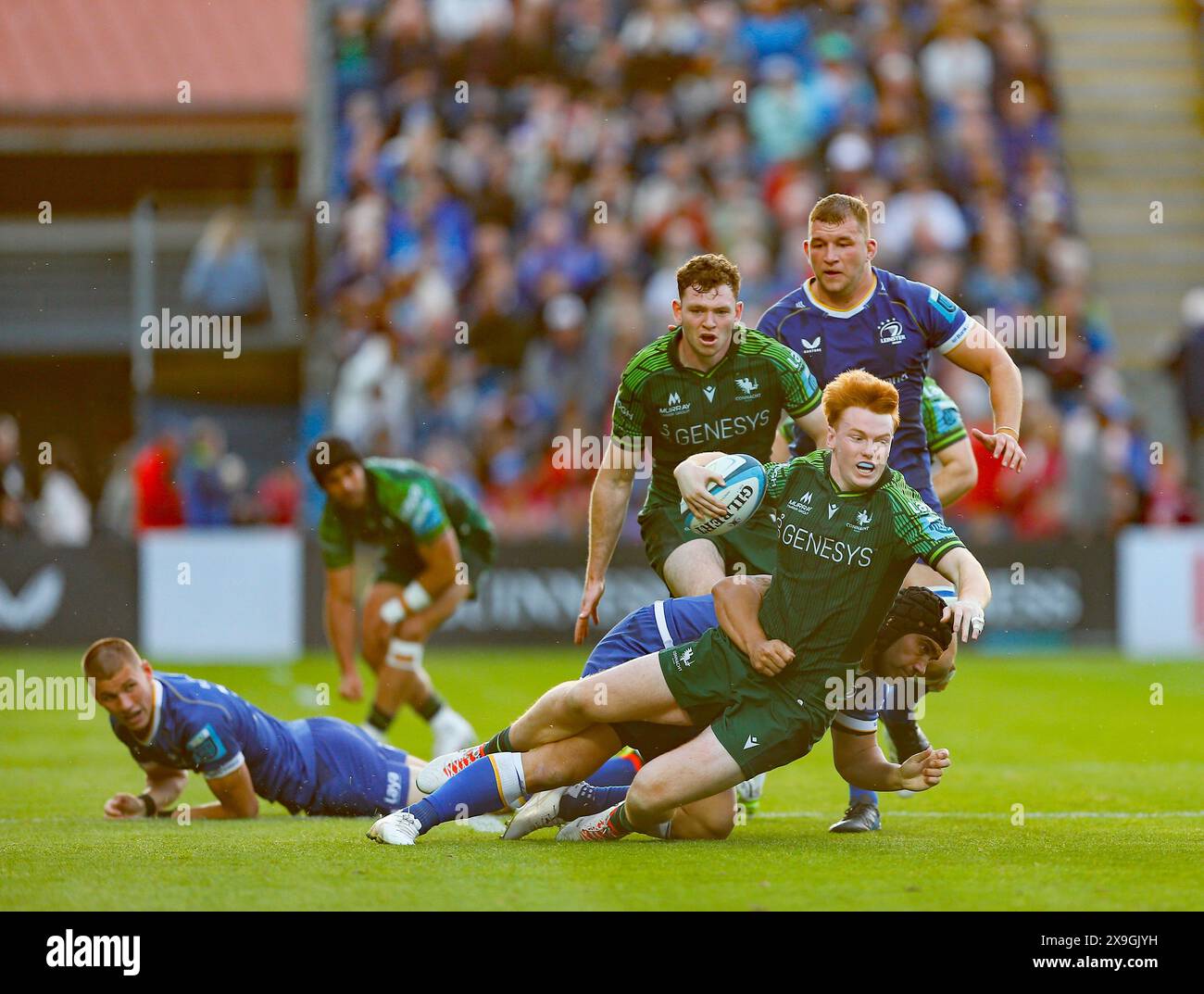 RDS Arena, Ballsbridge, Dublin, Ireland. 31st May, 2024. United Rugby ...