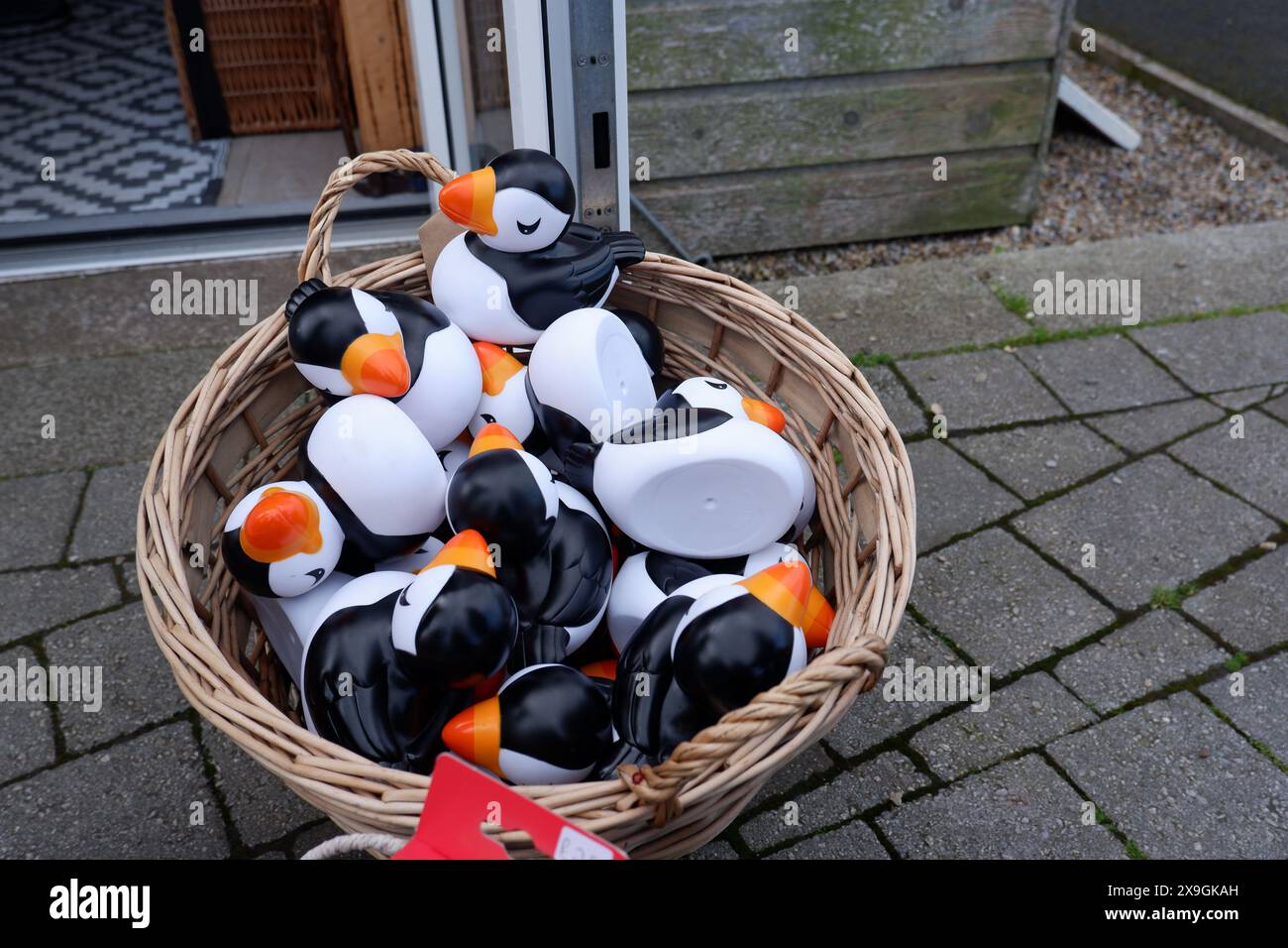 A basket of toy rubber duck puffins for sale outside the booking hut ...