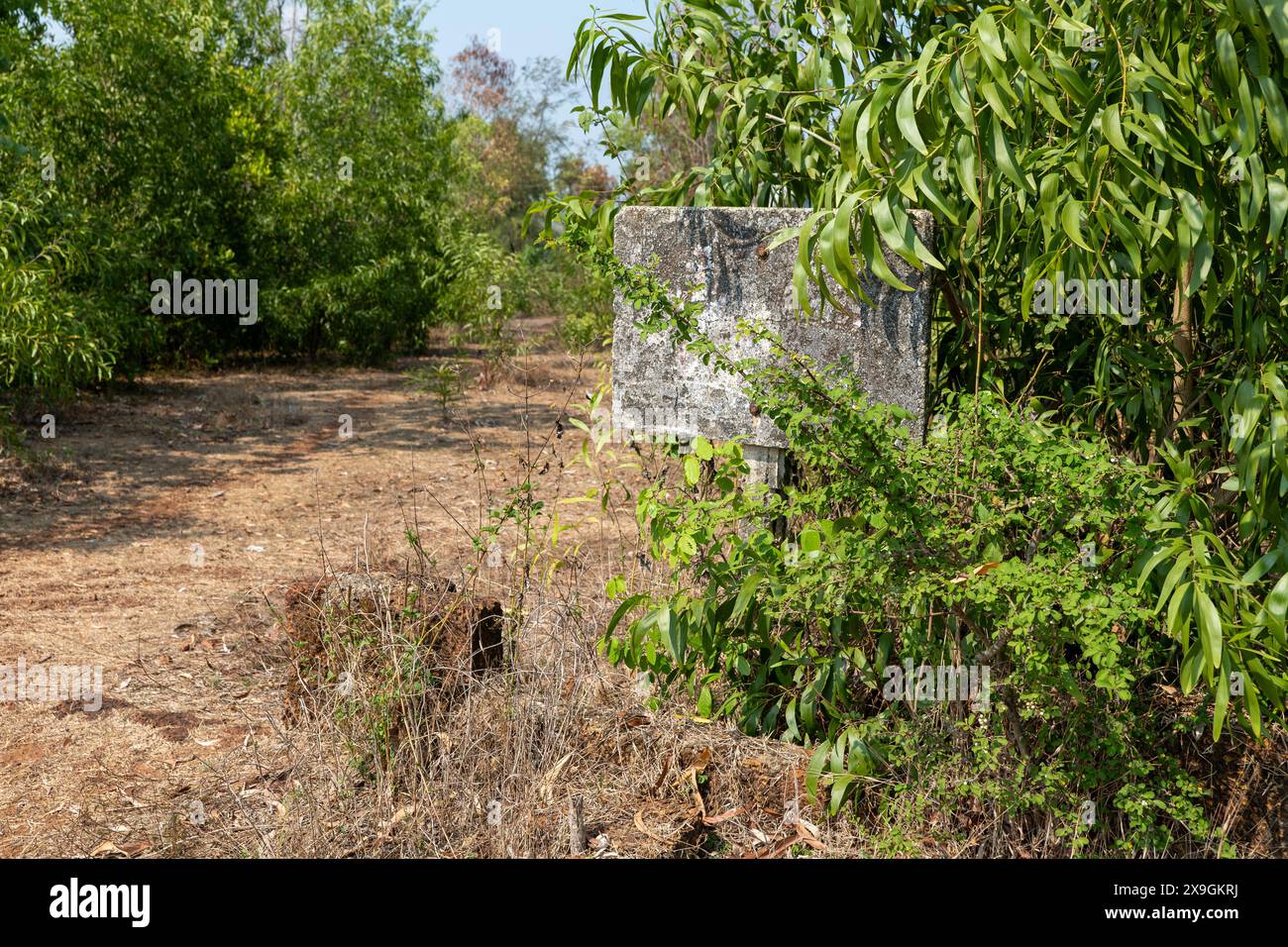 Forgotten pathway hi-res stock photography and images - Alamy