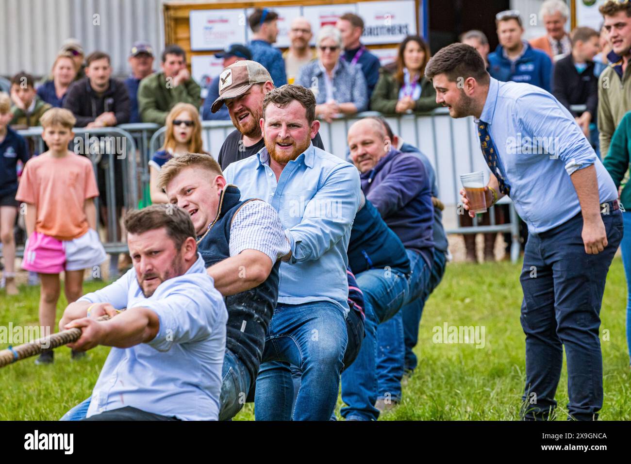 SHEPTON MALLET, SOMERSET, UK, 31st May, 2024, Men from the livestock ...