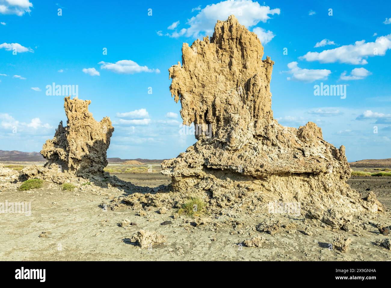 Limestone prehistoric chimneys rock formations, salt lake Abbe, Dikhil ...