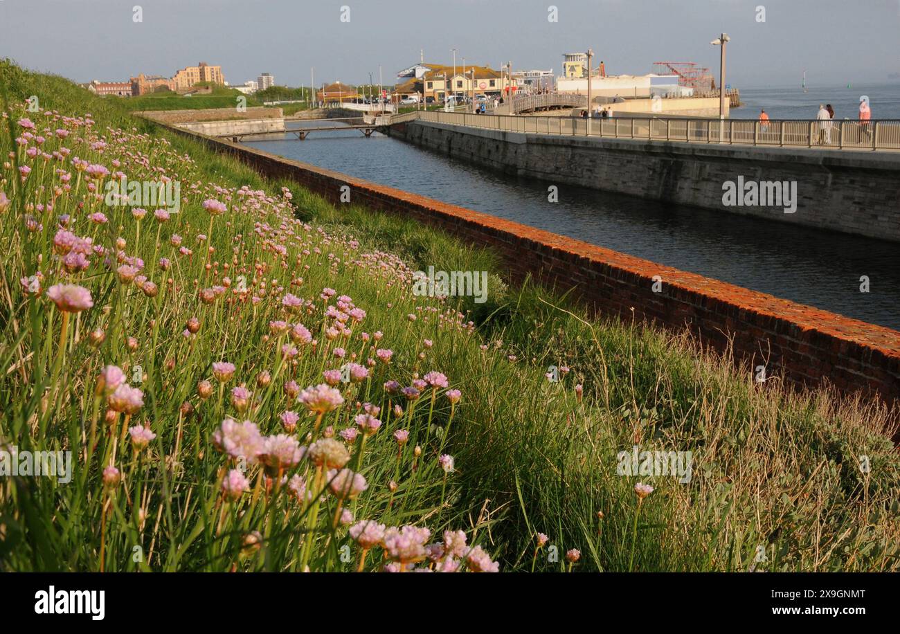 ENGLISH COASTAL PATH, MILLENIUM PROMENADE, LONG CURTAIN BATTERY, LONG ...