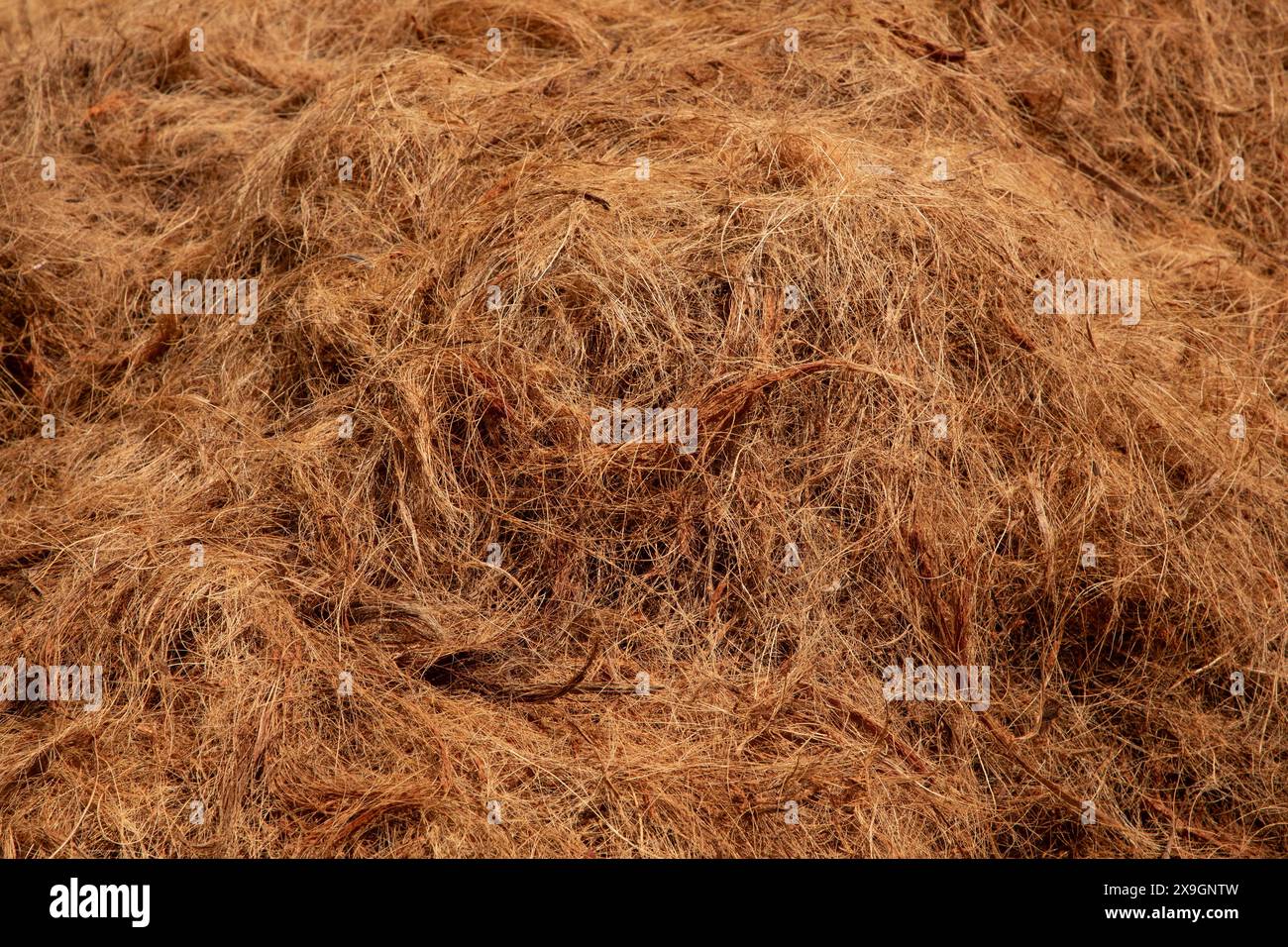 Three stages of coconut coir rope making with traditional process ...