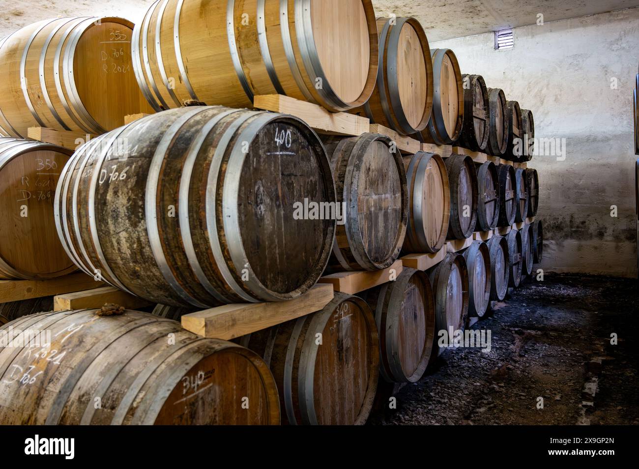 Aging process of cognac spirit in old dark French oak barrels in cool ...