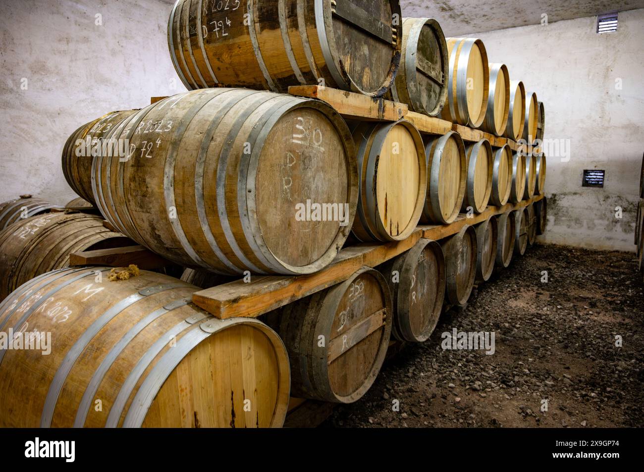 Aging process of cognac spirit in old dark French oak barrels in cool ...