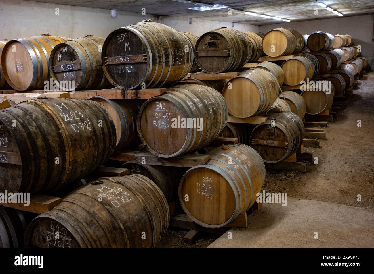 Aging process of cognac spirit in old dark French oak barrels in cool ...