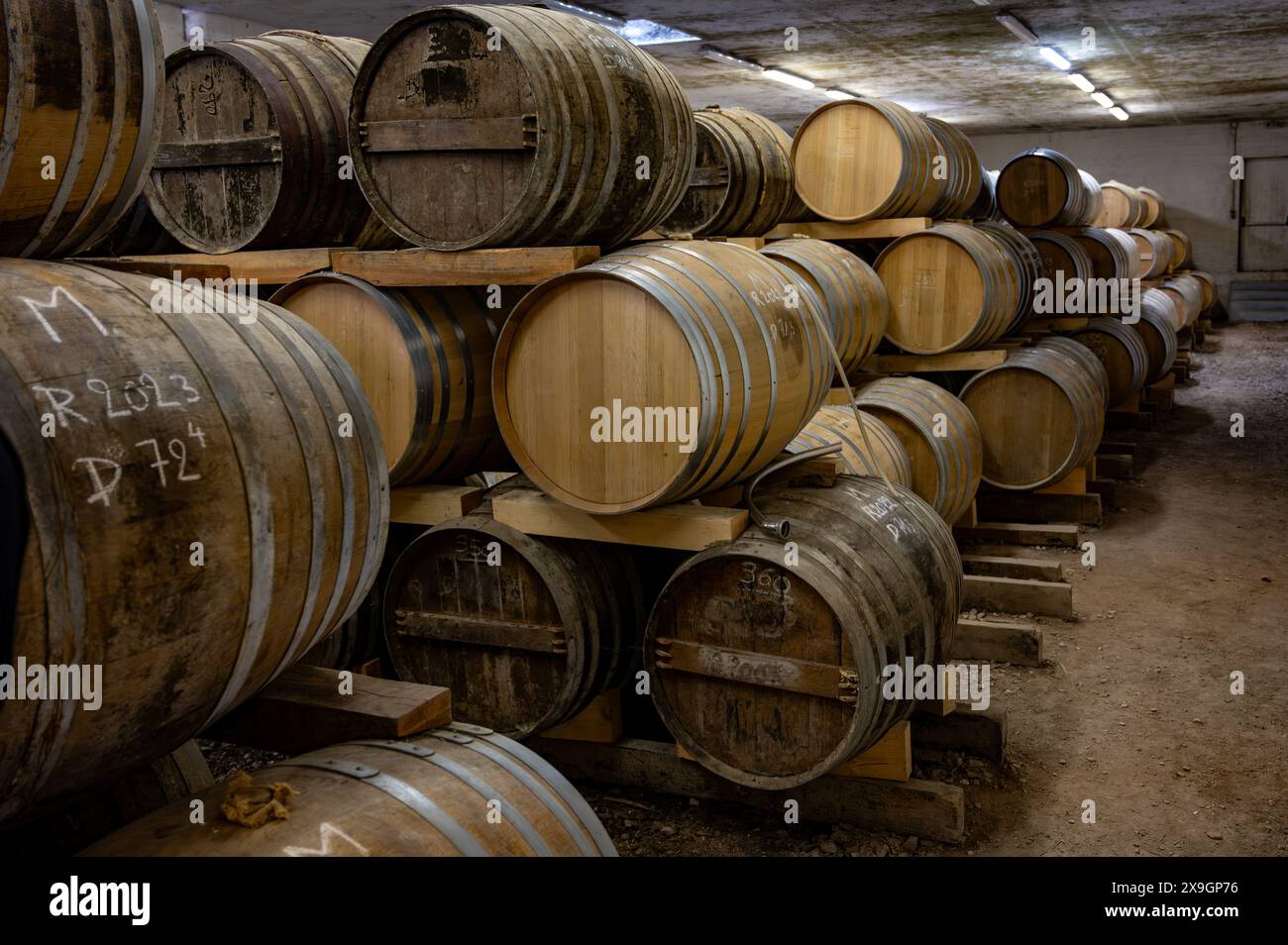 Aging process of cognac spirit in old dark French oak barrels in cool ...
