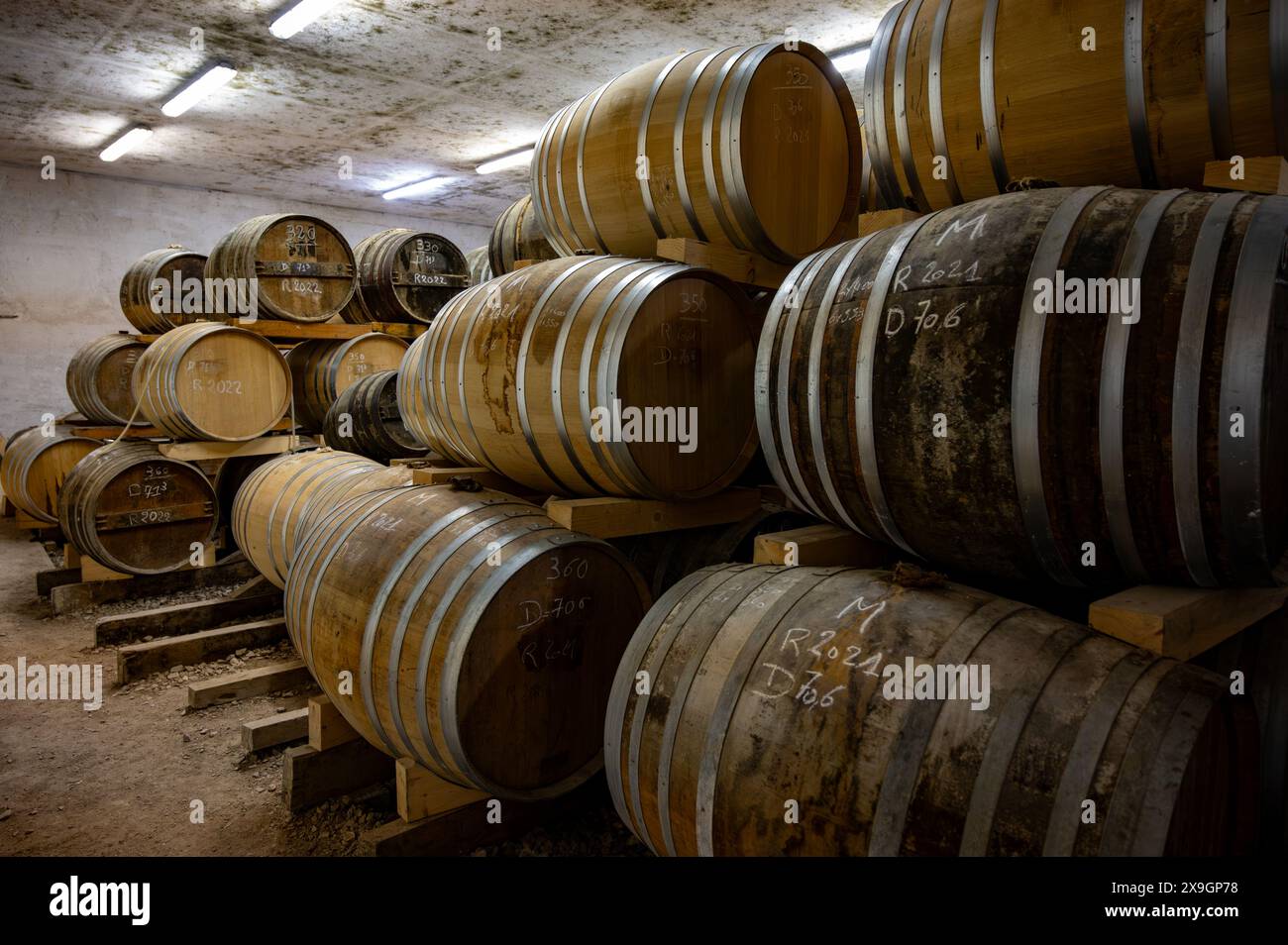Aging process of cognac spirit in old dark French oak barrels in cool ...