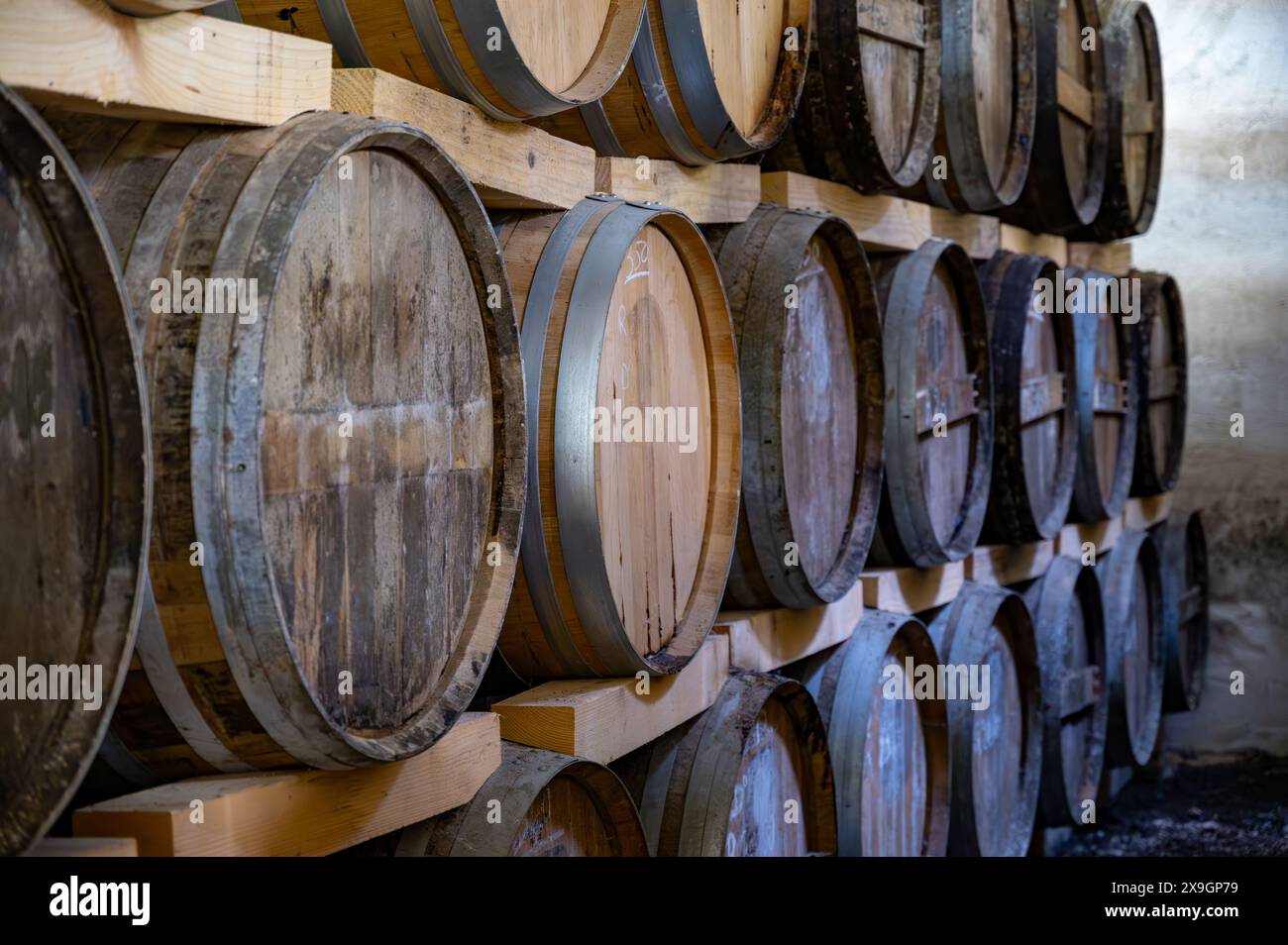 Aging process of cognac spirit in old dark French oak barrels in cool ...