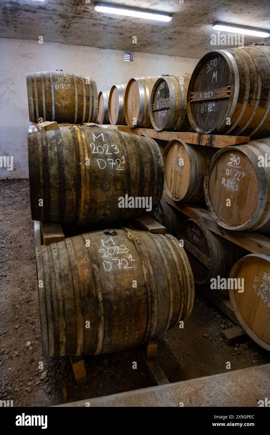 Aging process of cognac spirit in old dark French oak barrels in cool ...