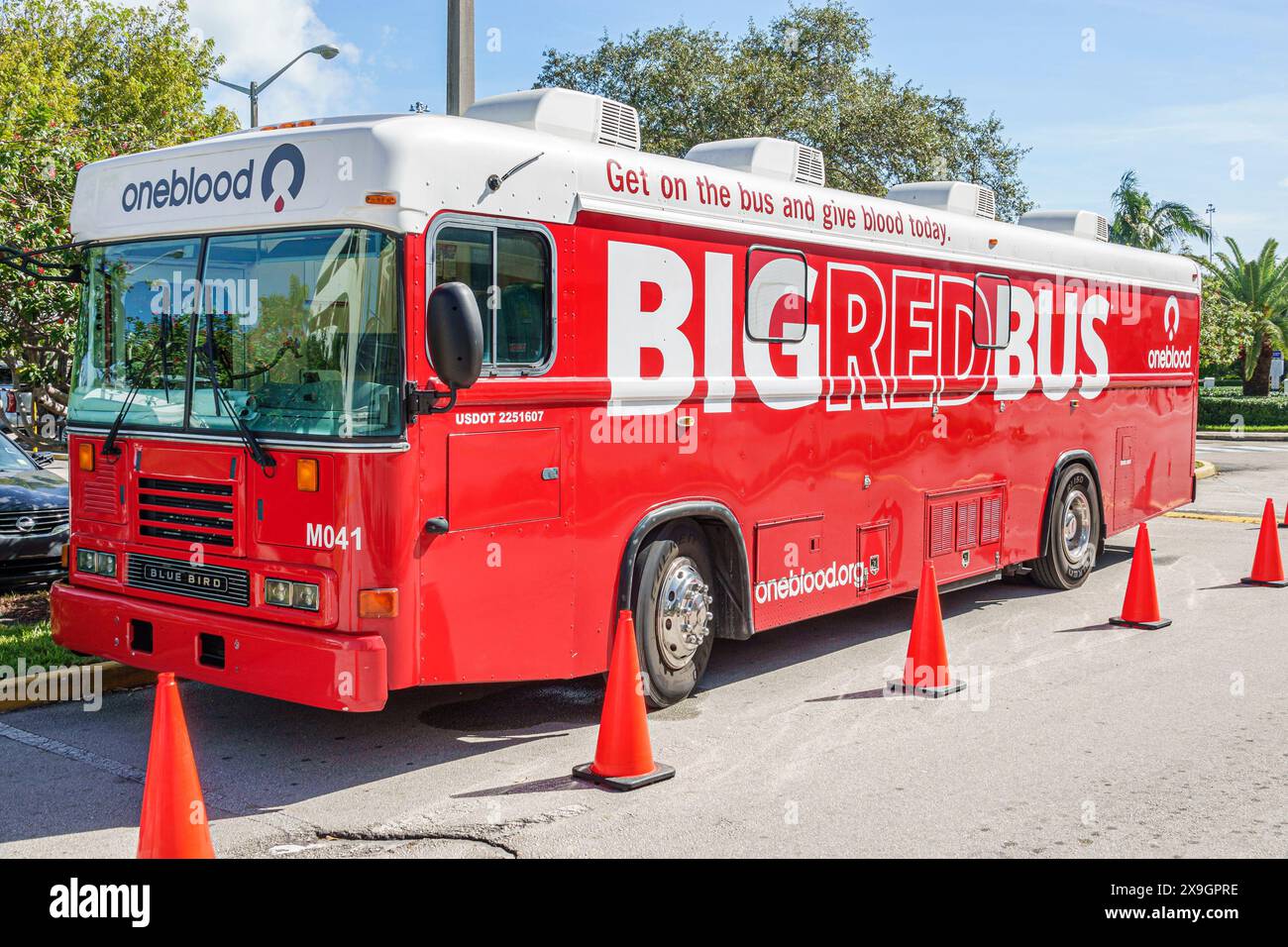 Miami Beach Florida,Mt. Mount Sinai Medical Center centre hospital,Big ...