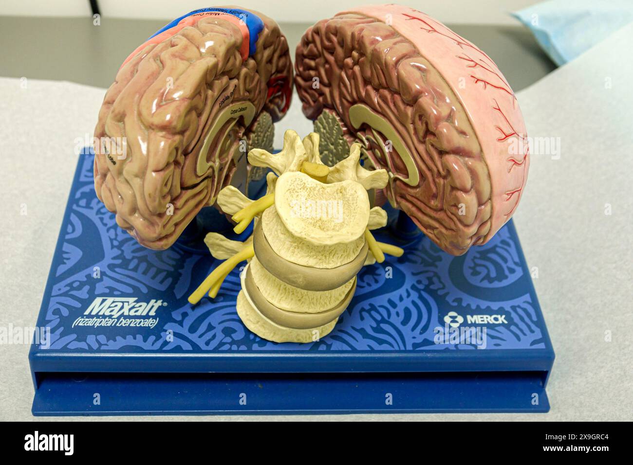 Miami Beach Florida,Mt. Mount Sinai Medical Center centre hospital ...