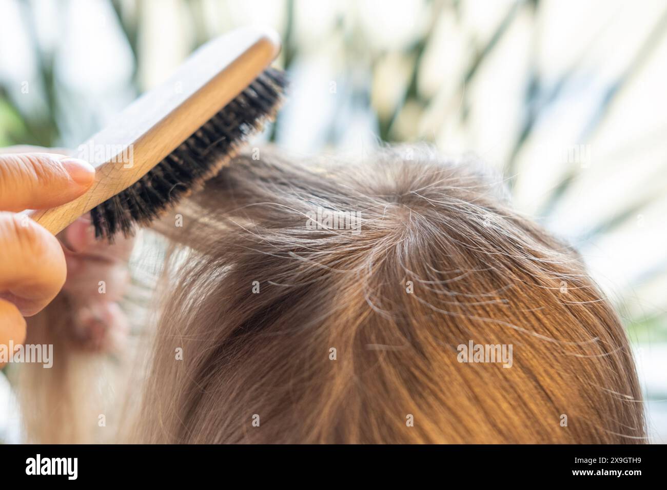 wooden comb, brush in female hand, woman, loving mother brushes ...