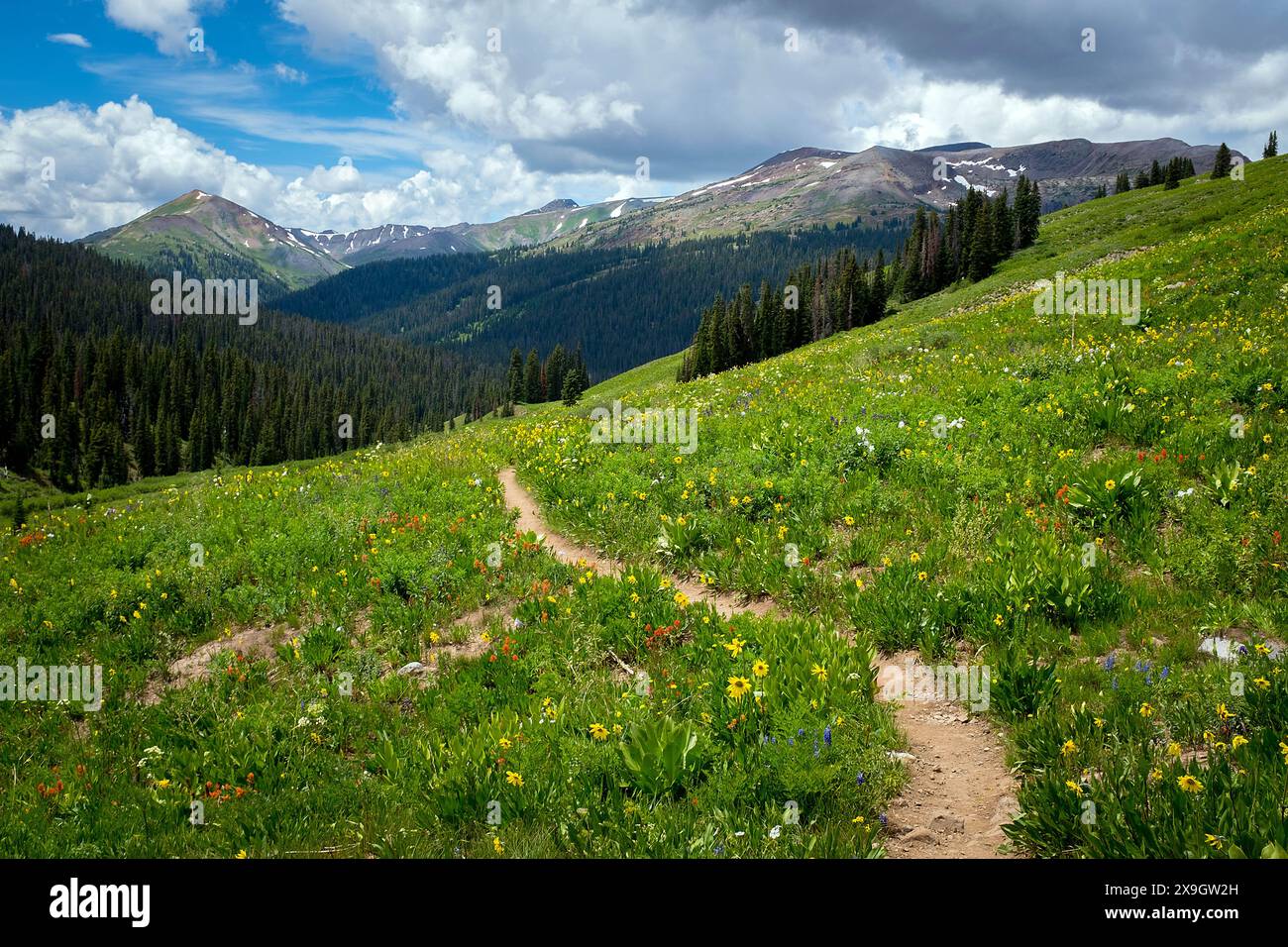 Trails And Waterways. 1st June, 2024. National Trails Day is celebrated ...