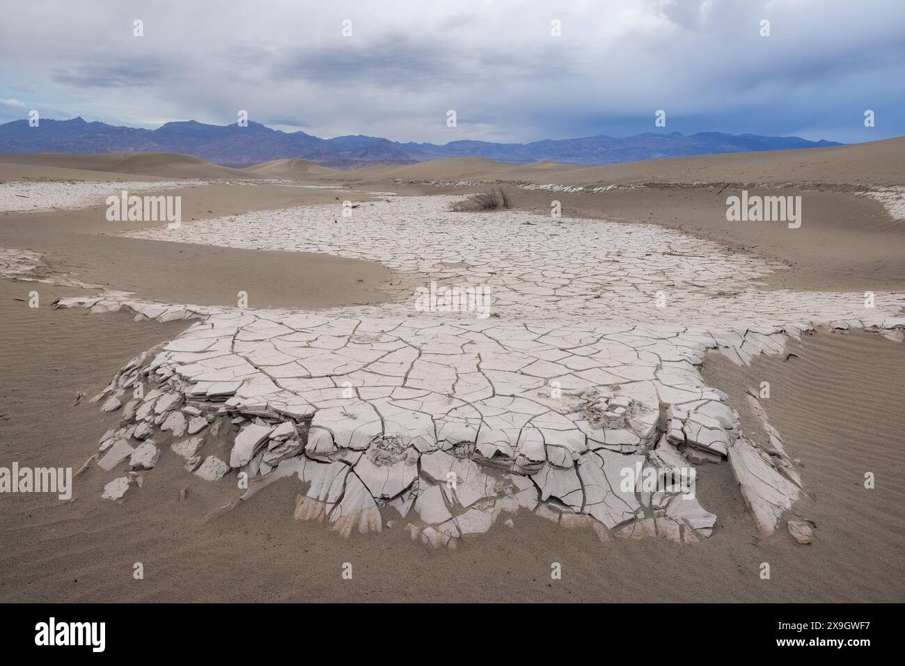 Drought pattern in mud flat hi-res stock photography and images - Alamy