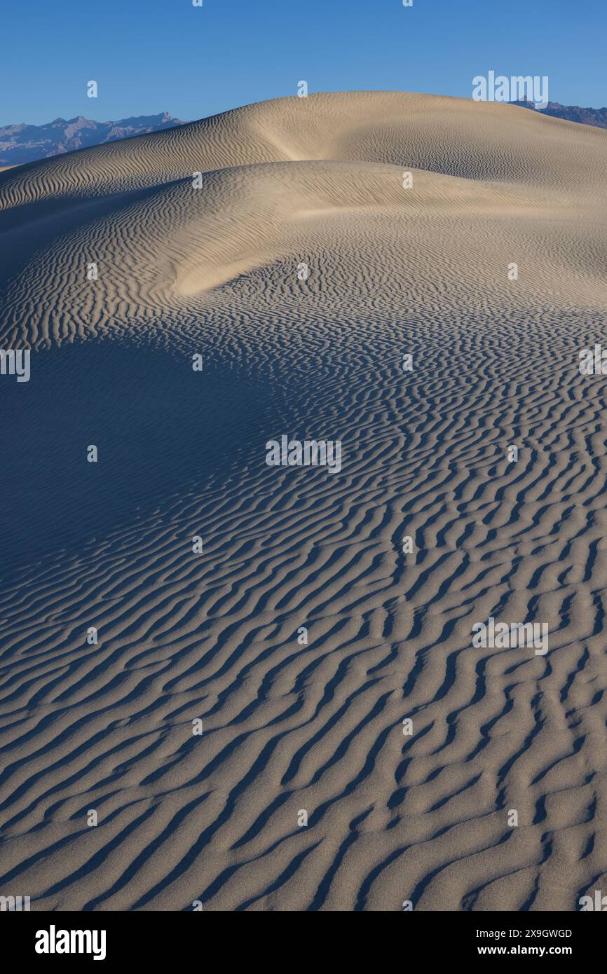 Wind swept sand patterns with morning light, Mesquite Flat Sand Dunes ...