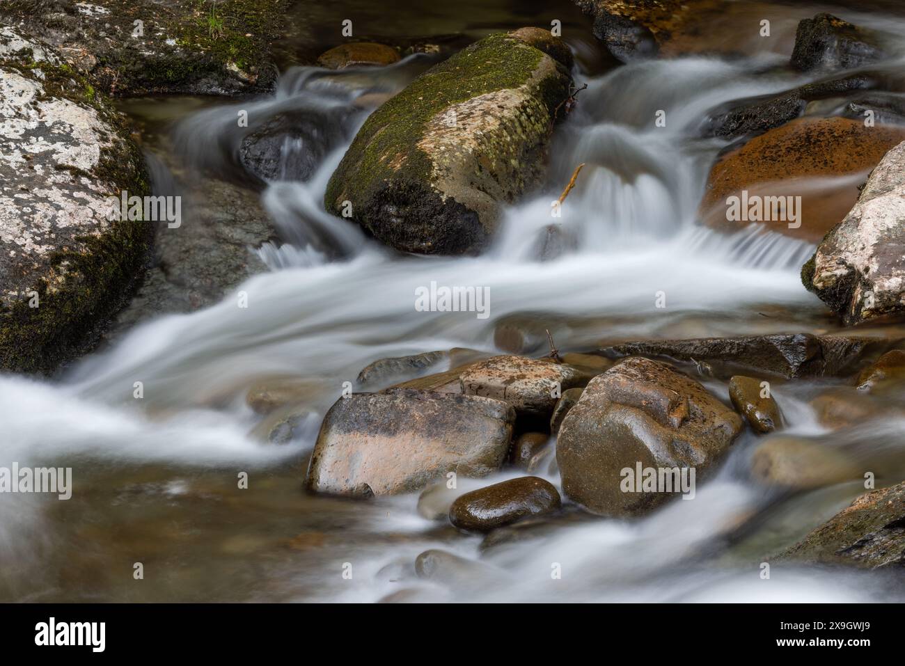 Little River along Little River Gorge Road, Great Smoky Mountains ...