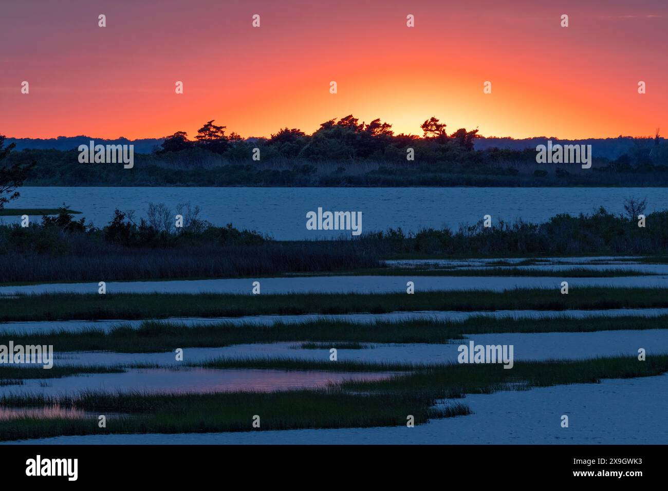 Setting sun over the grasses and water, Assateague Island National ...