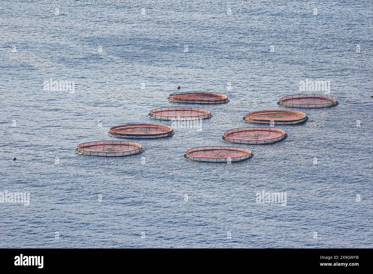 Fish farm in the waters of the Ponta de São Lourenço (tip of St ...