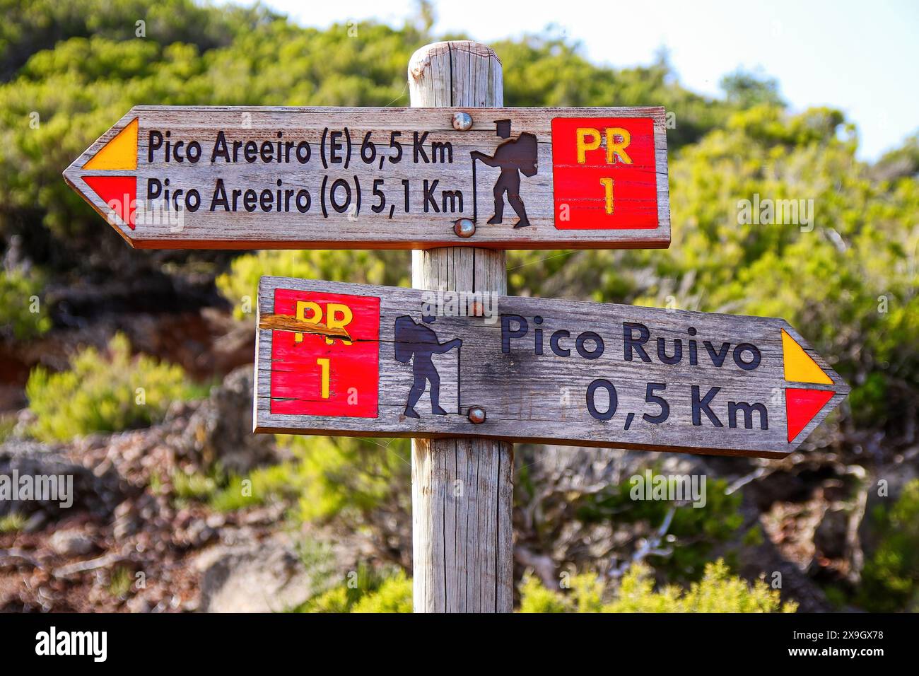 Wooden orientation signs indicating the many trails surrounding the ...