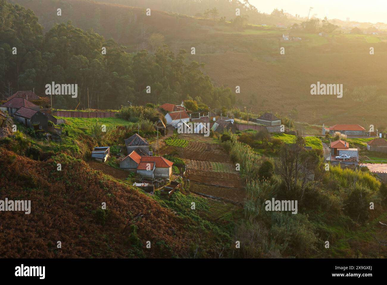 Hillside farming in Achadas da Cruz, a countryside village on the ...