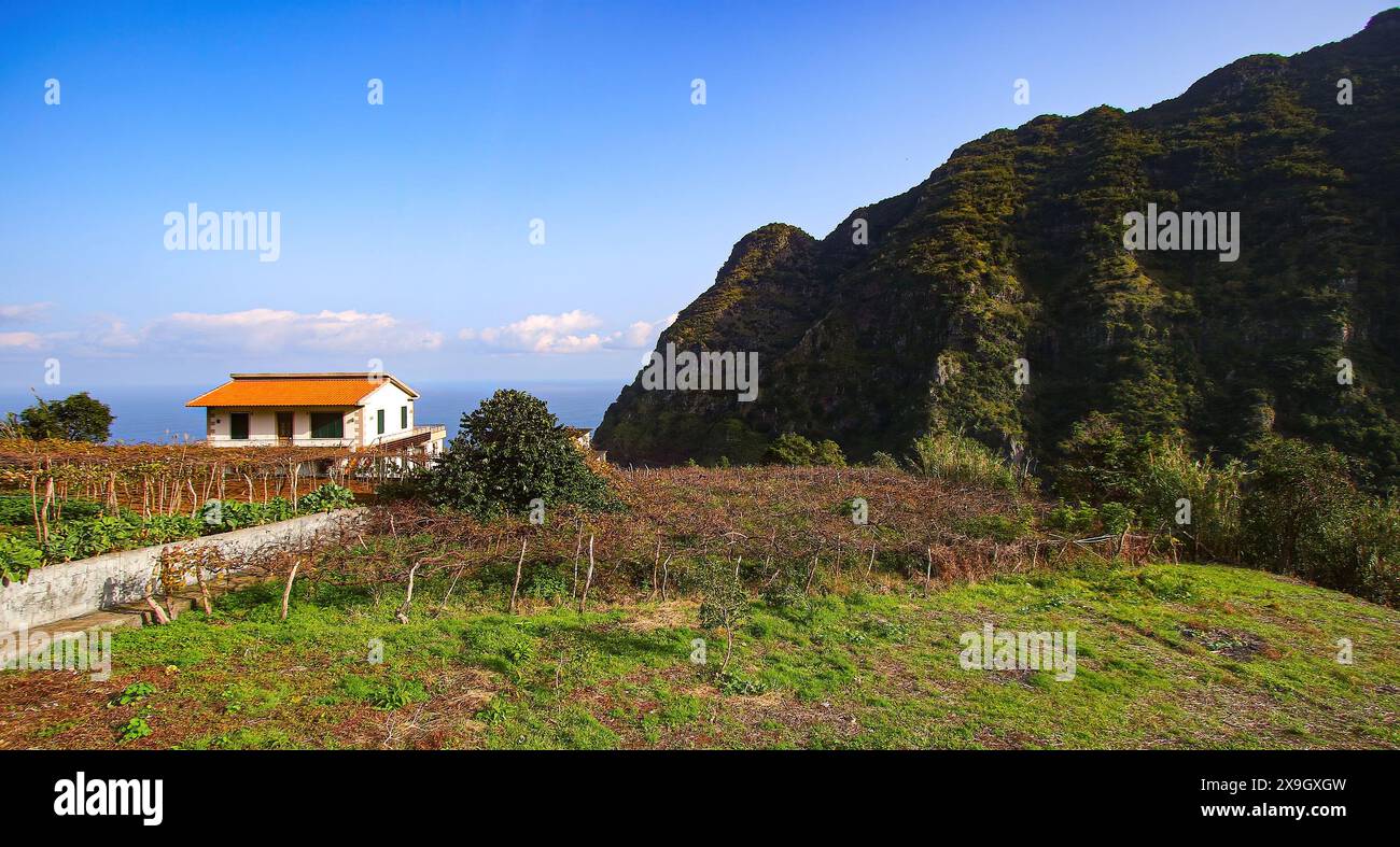 Traditional houses in Faial, a mountainous, lush and colorful village ...