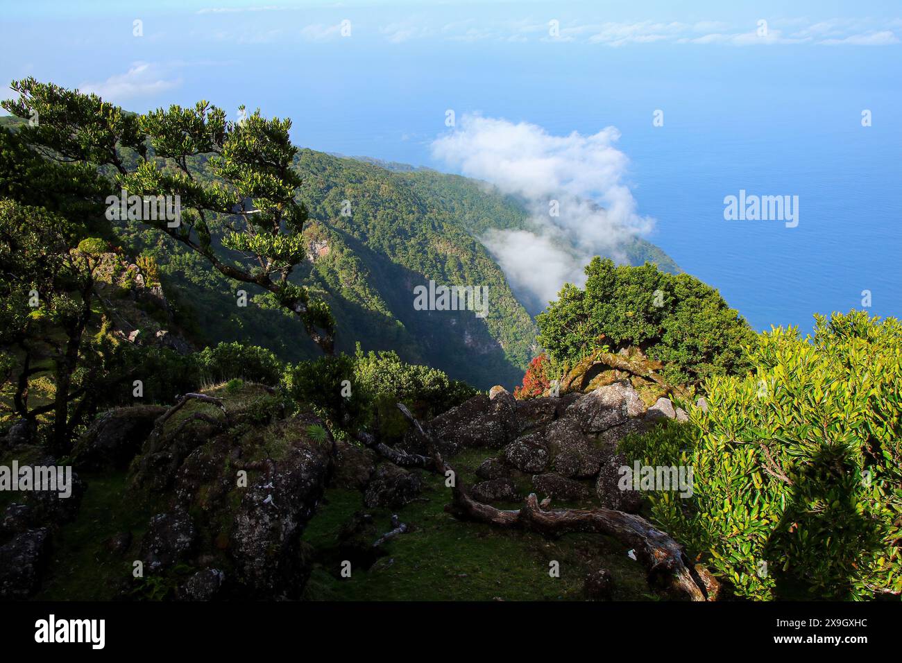 North coast of Madeira island (Portugal) in the Atlantic Ocean, seen ...