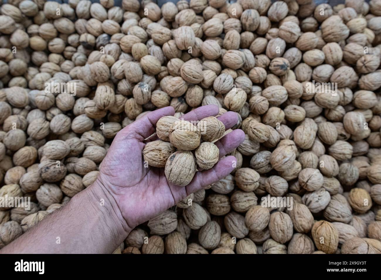 Walnuts sold at the market stall Stock Photo - Alamy