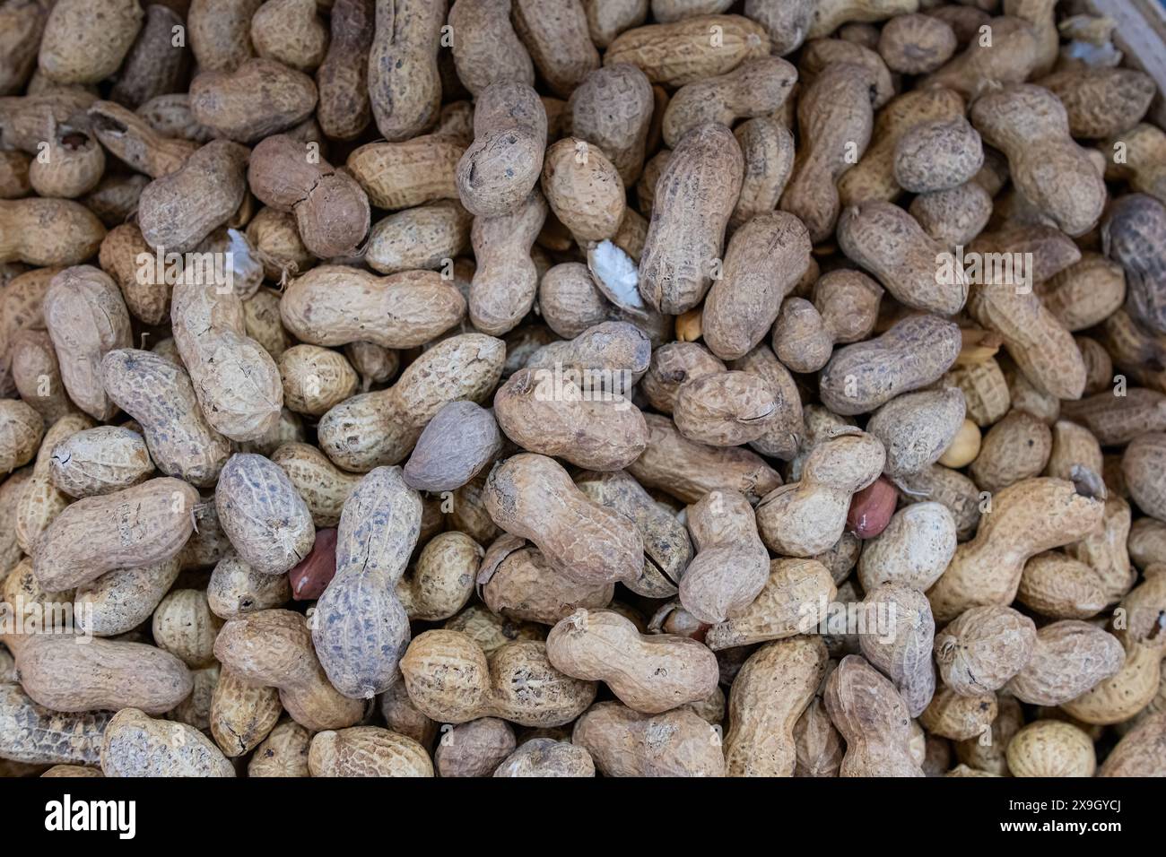 Roasted shelled peanuts sold in a snack shop Stock Photo - Alamy