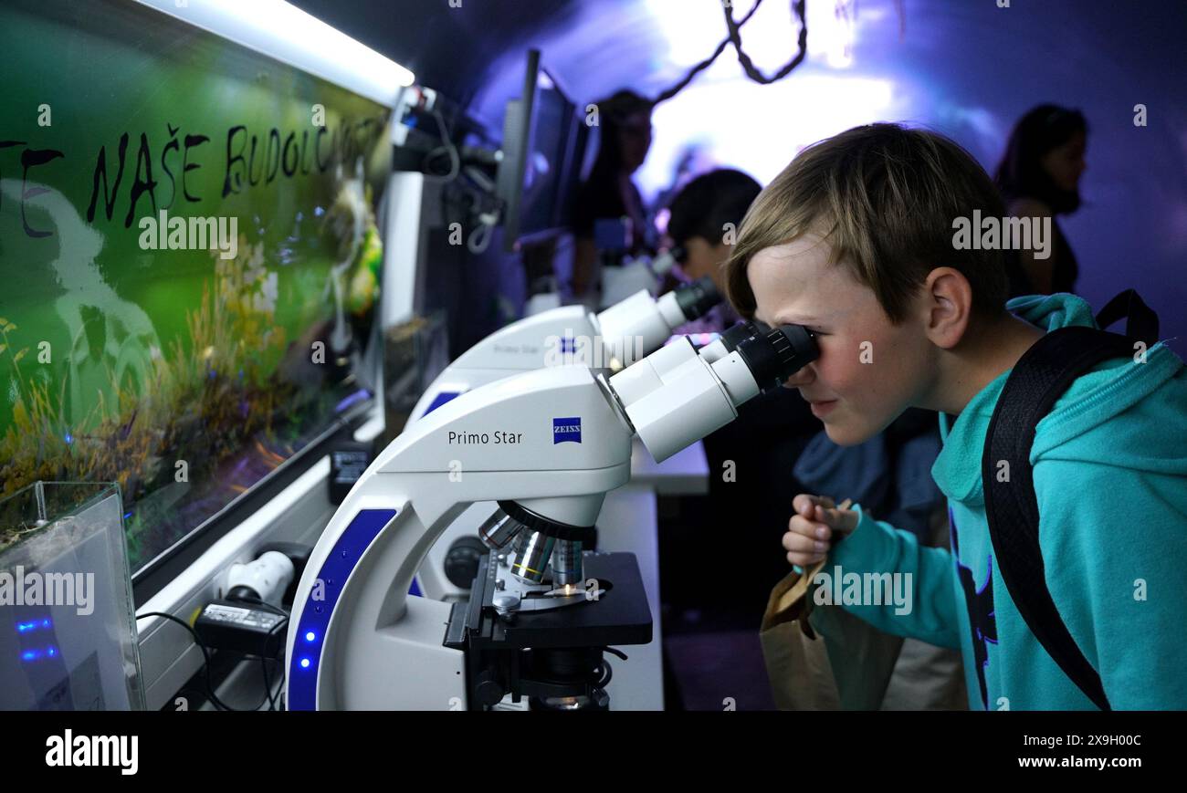 Prague, Czech Republic. 31st May, 2024. A boy examines invertebrates ...