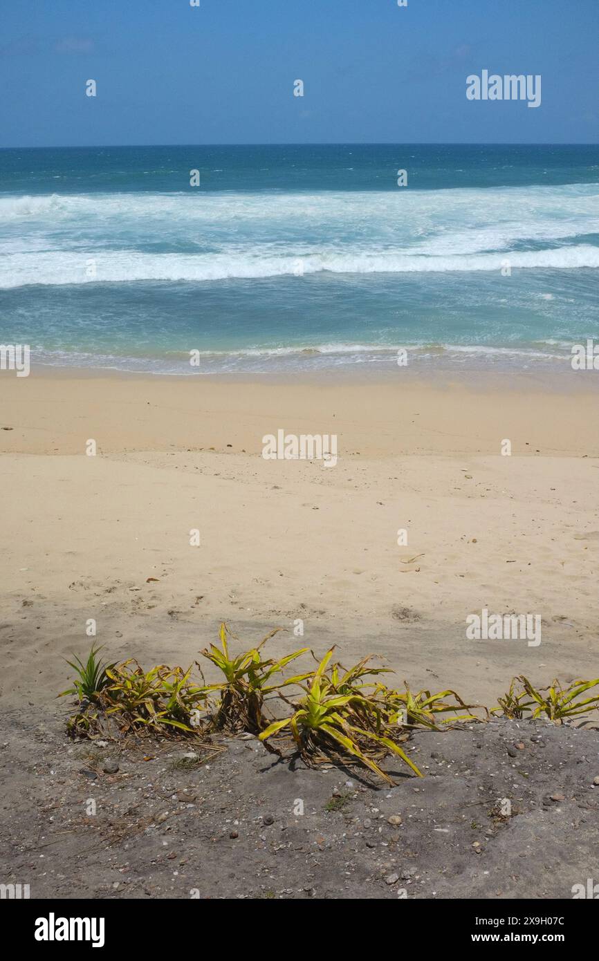 A deserted beach with white sand, crashing waves, and the horizon line ...