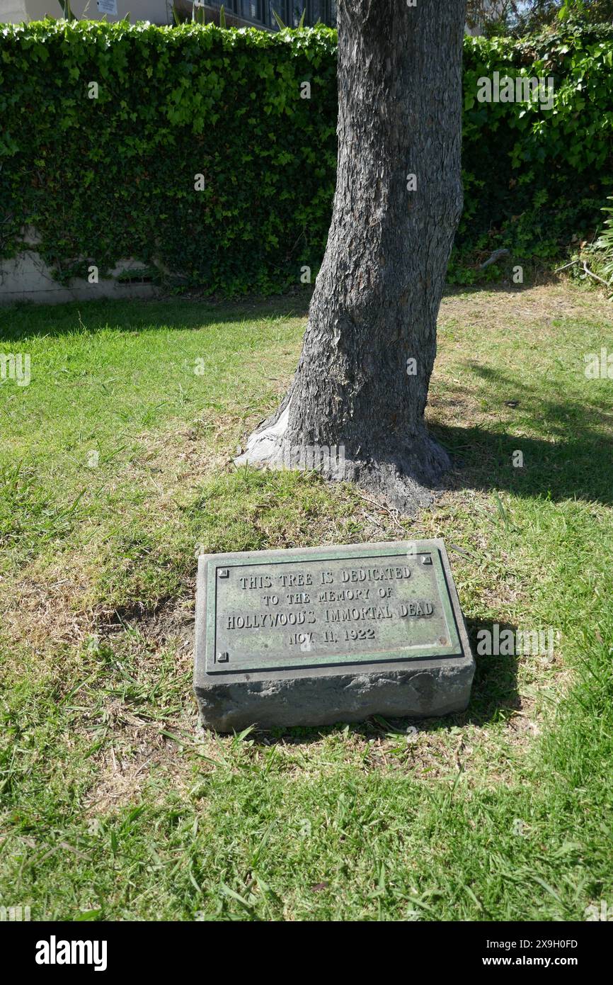 Hollywood, California, USA 30th May 2024 This Tree Is Dedicated to the ...