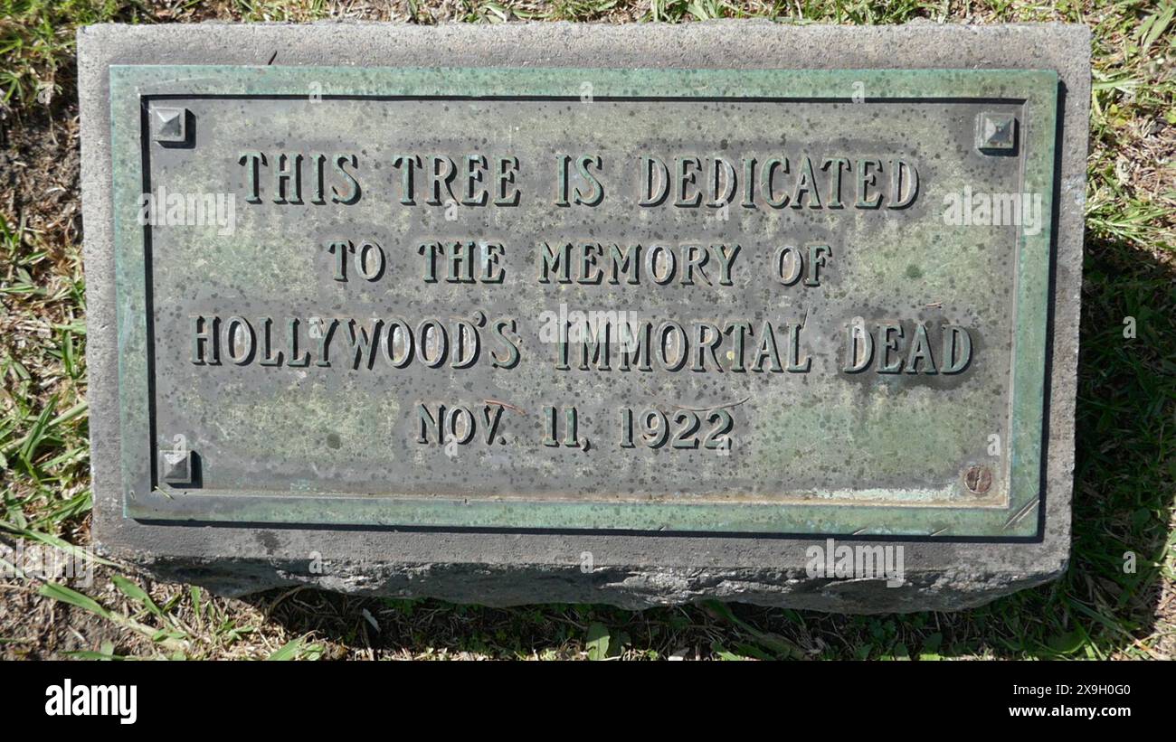 Hollywood, California, USA 30th May 2024 This Tree Is Dedicated to the ...