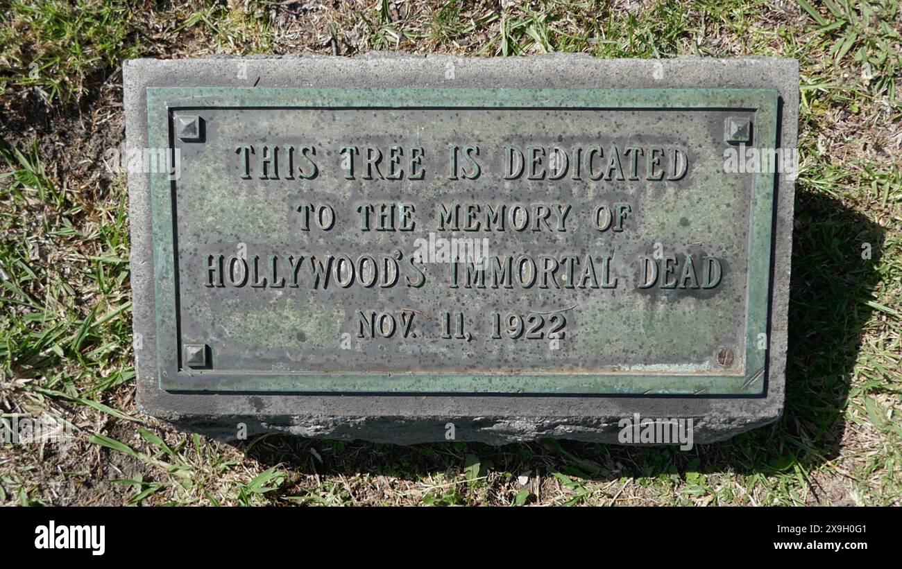 Hollywood, California, USA 30th May 2024 This Tree Is Dedicated to the ...