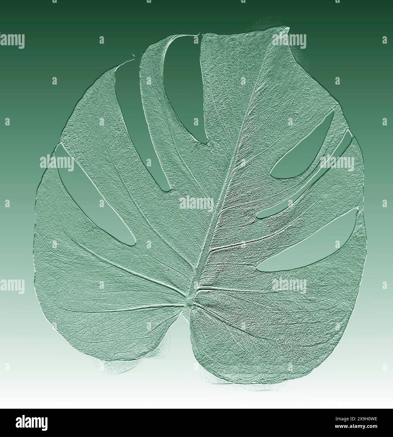 Monstera leaf illustration on a green-to-white gradient background ...