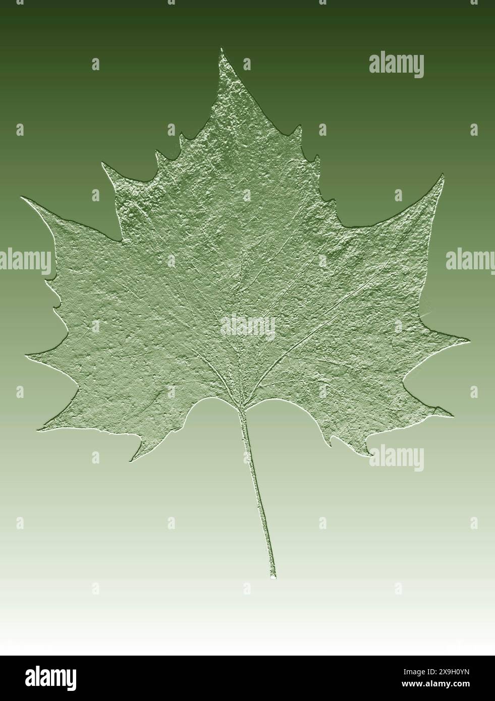 A detailed green leaf with a gradient background transitioning from ...