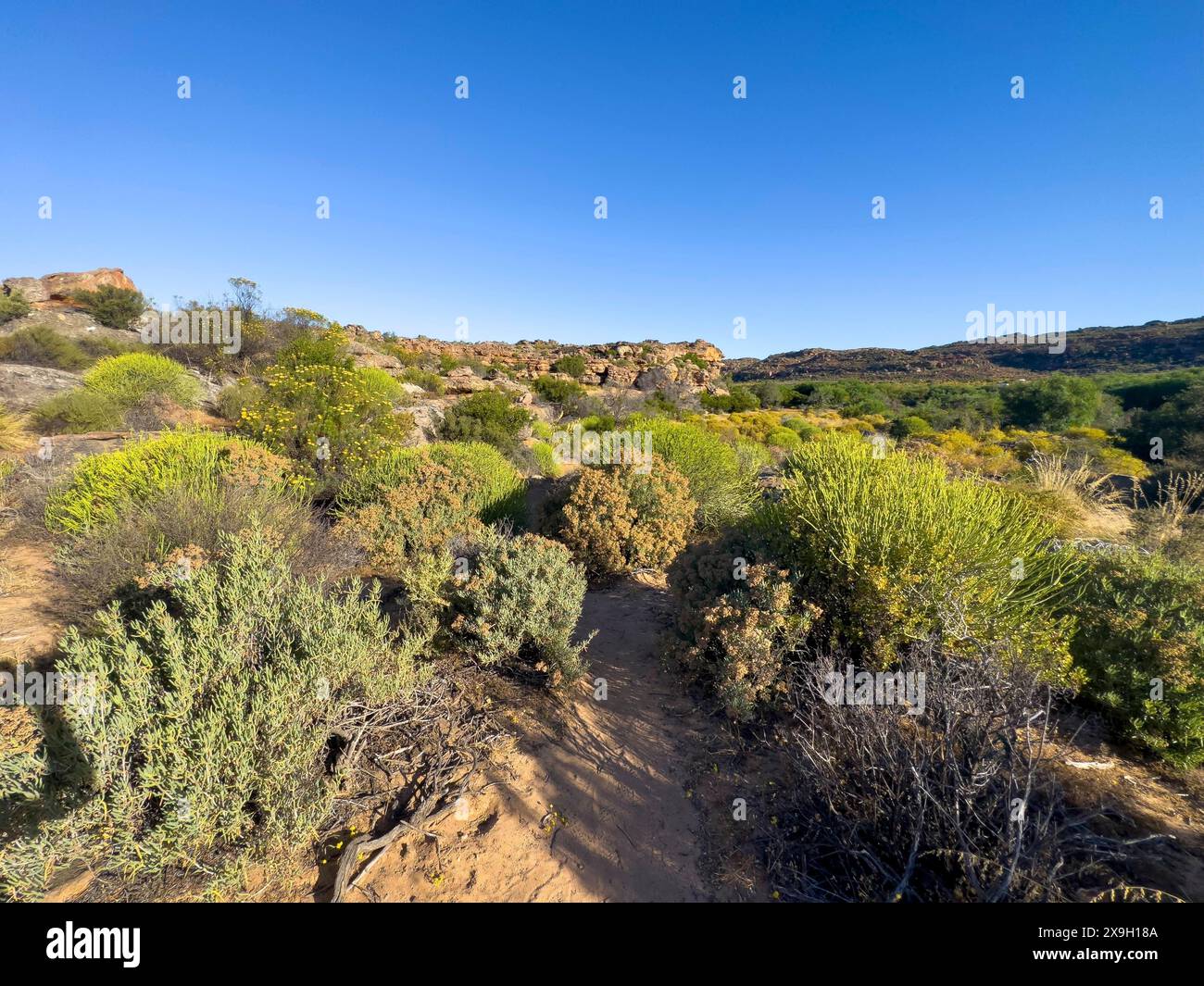 Hiking trail Sevilla Art Rock Trail, dry landscape with green bushes ...