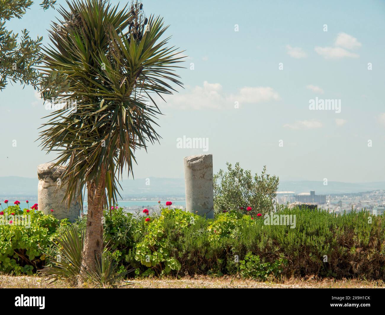 Blue sky palm tree roman ruin of pillar hi-res stock photography and ...