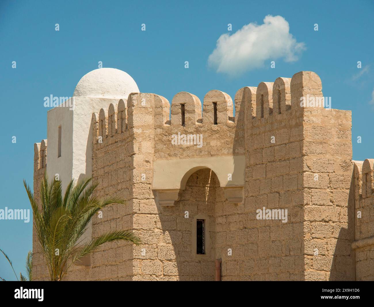Historical building with white dome and jagged wall, next to it a palm ...