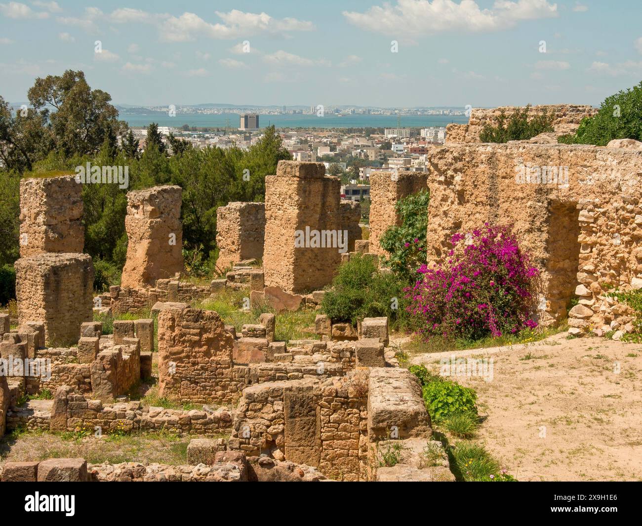 Ancient stone ruins with colourful flowers, green vegetation and views ...