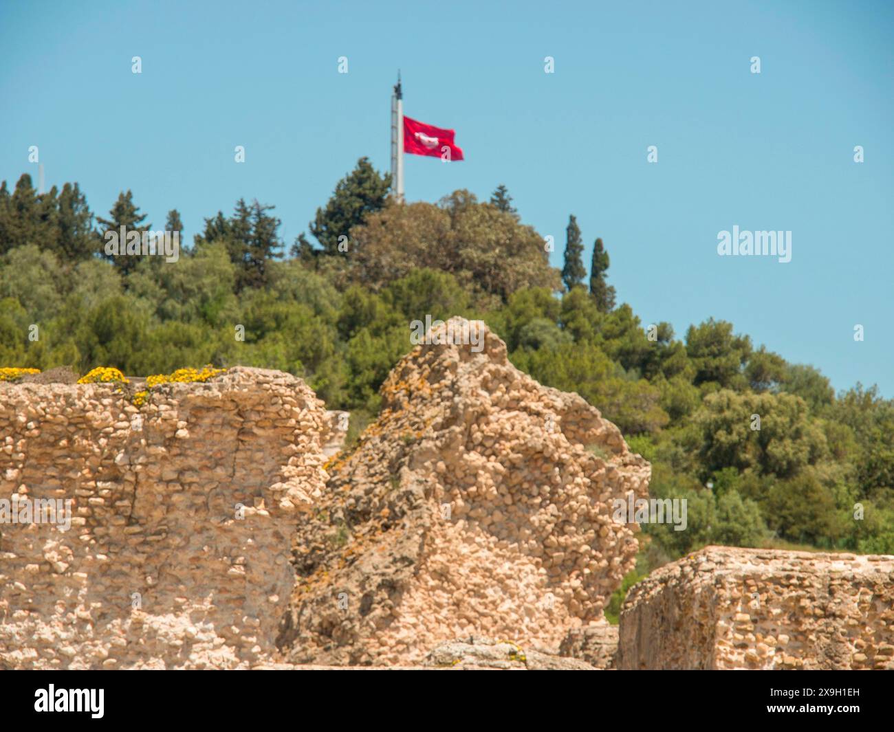 Remains of an ancient wall with waving flag and surrounding trees ...
