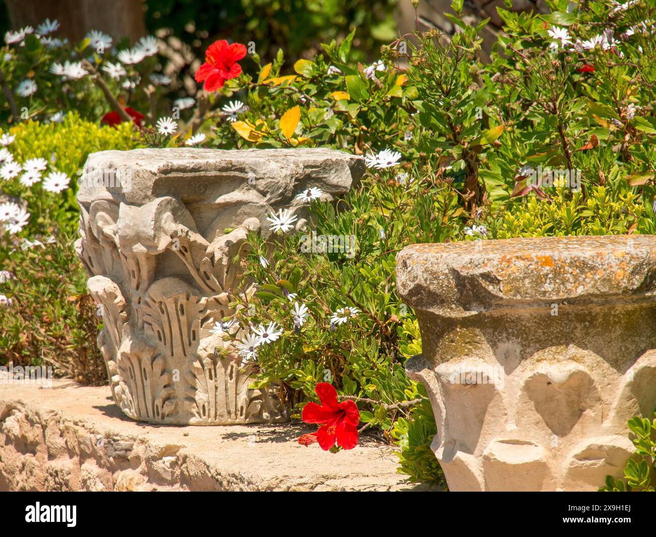 A Mediterranean garden with stone flower boxes, red and white flowers ...