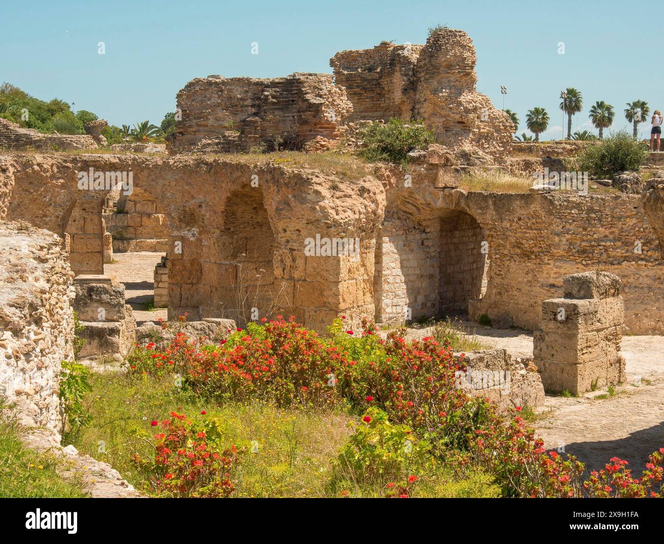 Historic ruins with ancient stone structures and some plants, Tunis in ...