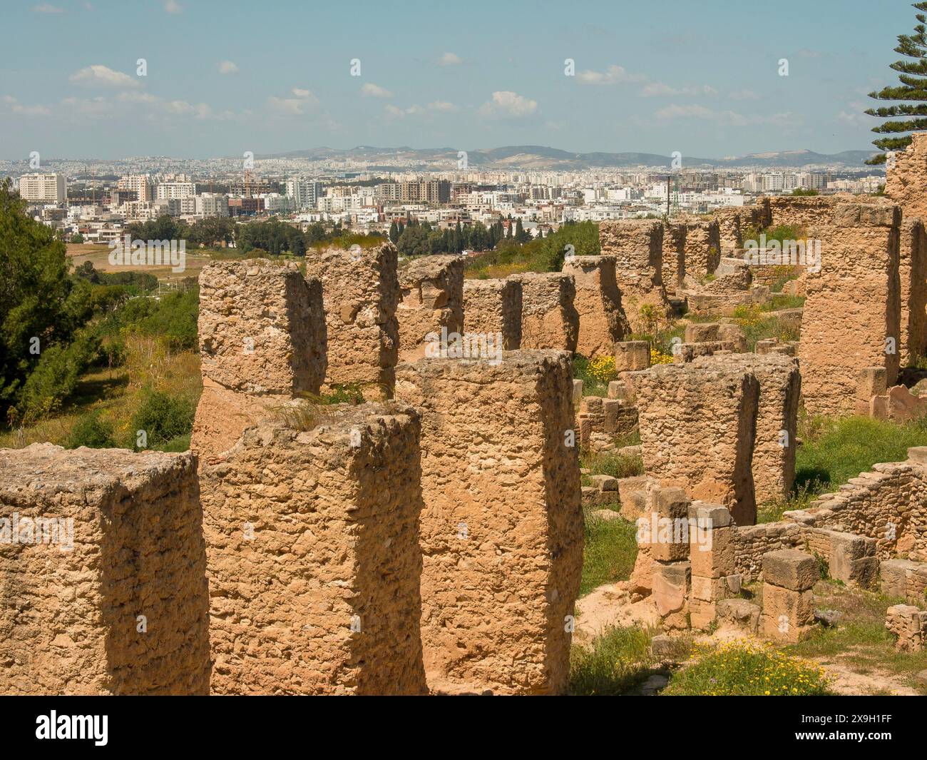 View over tunis with mosque and houses hi-res stock photography and ...