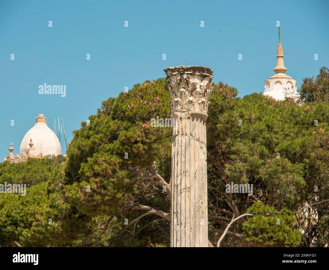 A historic column stands in front of trees and towers under clear ...