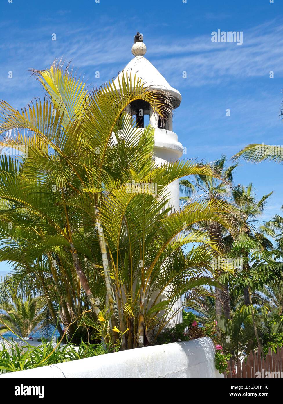 White antique tower between palm trees and bright blue sky, tropical ...