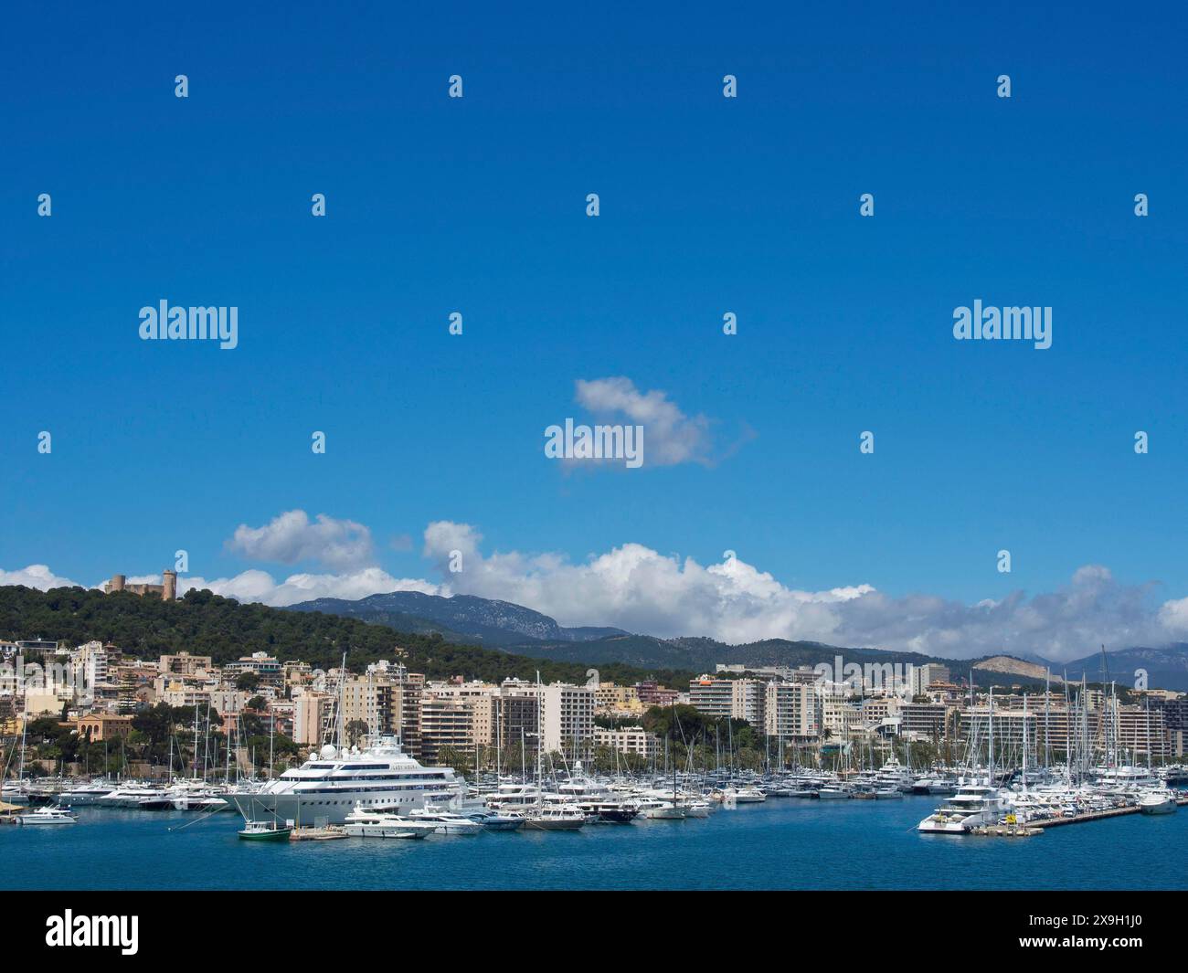 City view with harbour full of yachts and boats, surrounded by ...