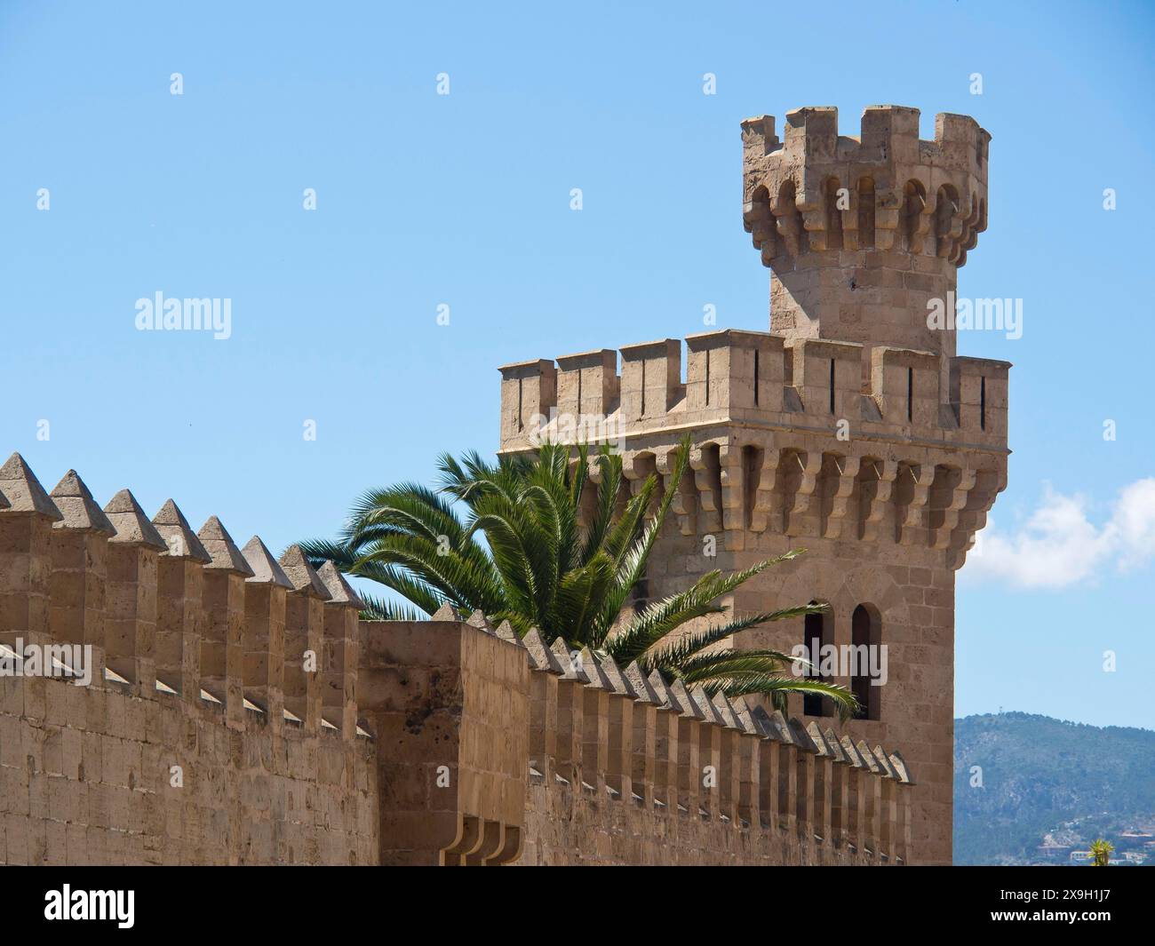 A castle with a stone wall and a tower, in the background palm trees ...