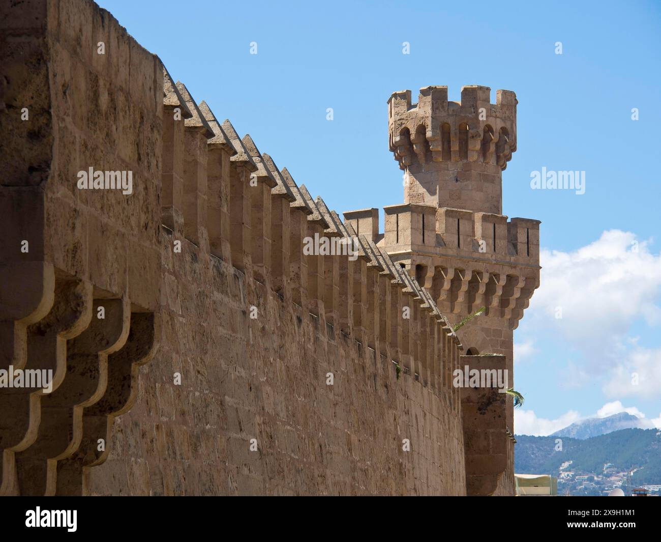 A medieval castle wall with a tower, in the background a blue sky with ...
